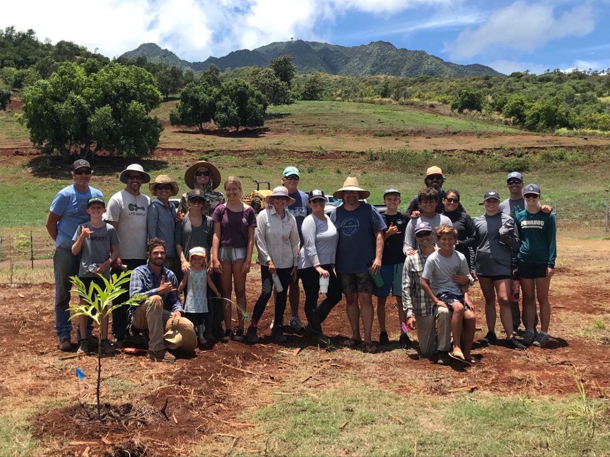 COMMUNITY WORK DAYS