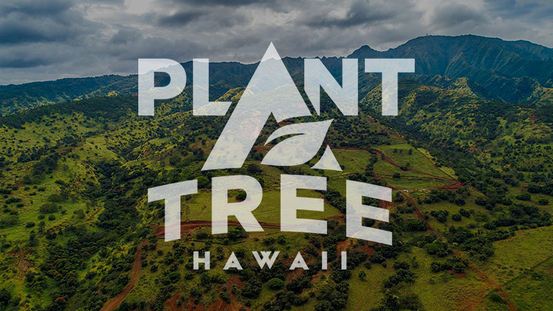 Plant A Tree Hawaii